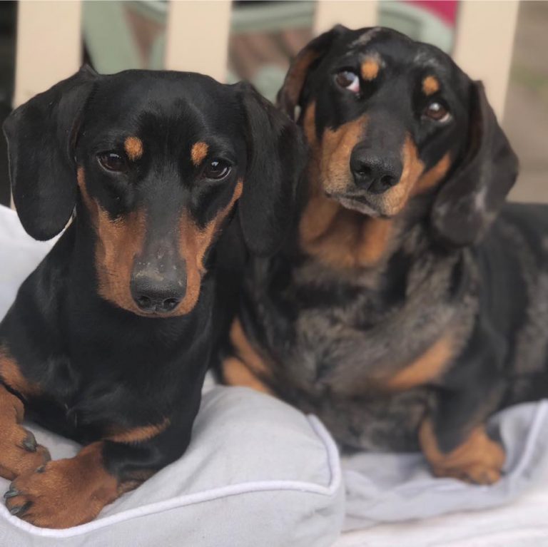 About Us – MPM Pumps